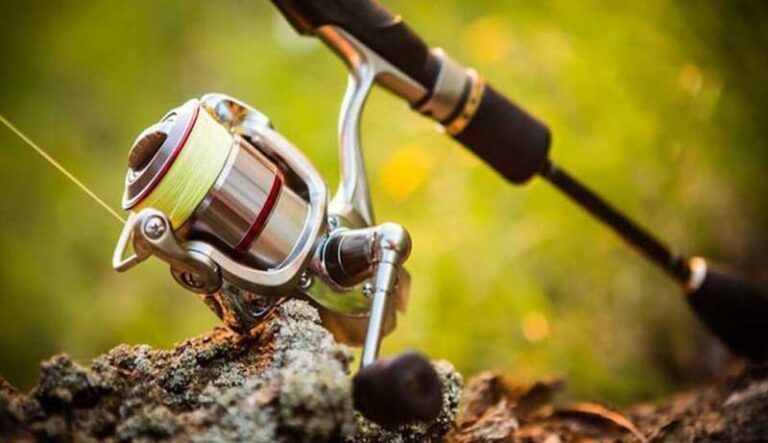 5 Best Spinning Combo [Reviews] In 2021 | Top Collections